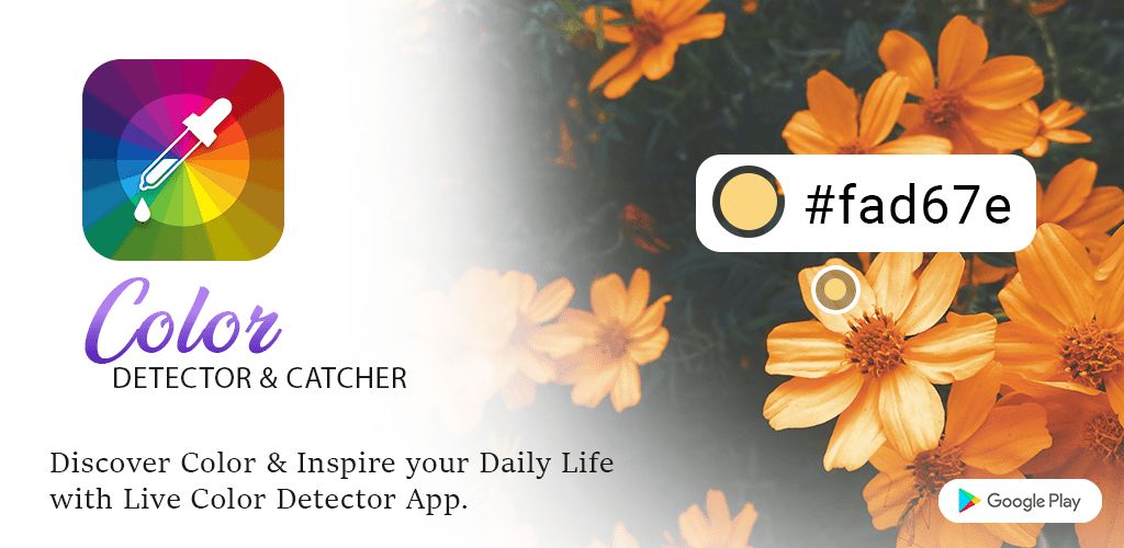 دانلود Color Detector & Catcher 1.8 – اپلیکیشن تشخیص کد رنگ ها برای اندروید